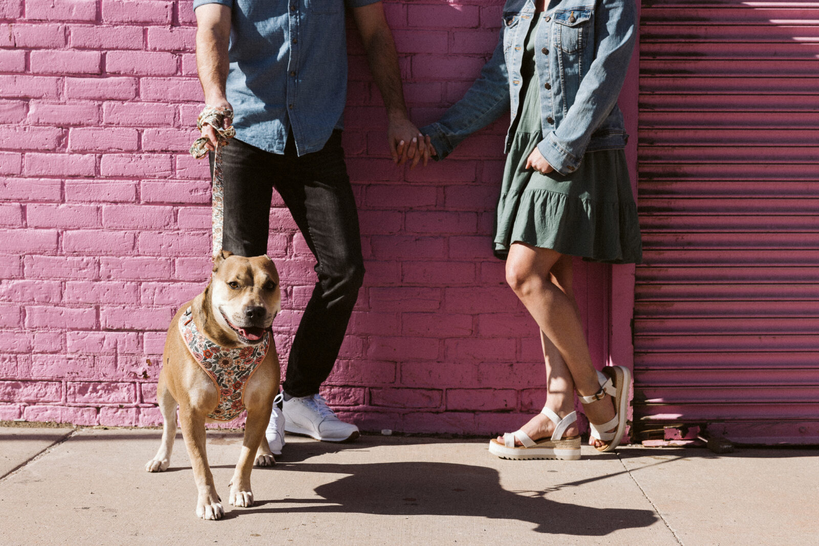 Sarah and Jeff | Eastern Market Engagement - smithandco.photo