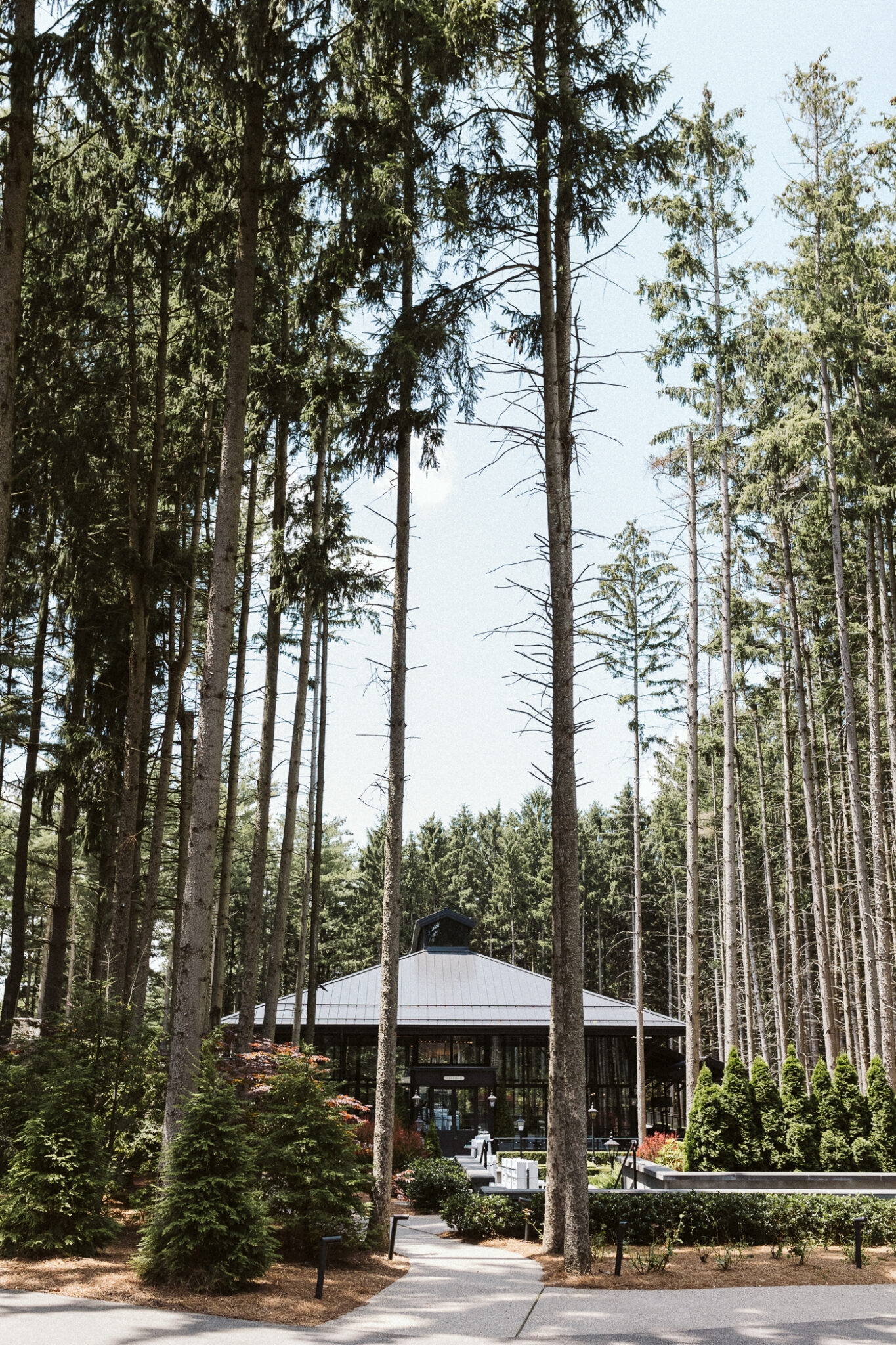 Nicole and Alex | Shepherd's Hollow Wedding - smithandco.photo